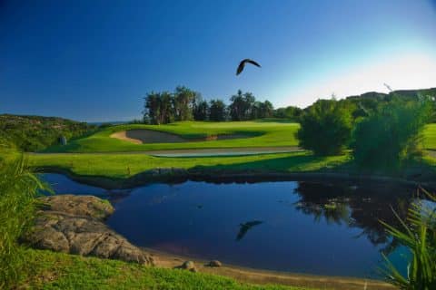 Brochures | The Capital Zimbali Resort | Download Now